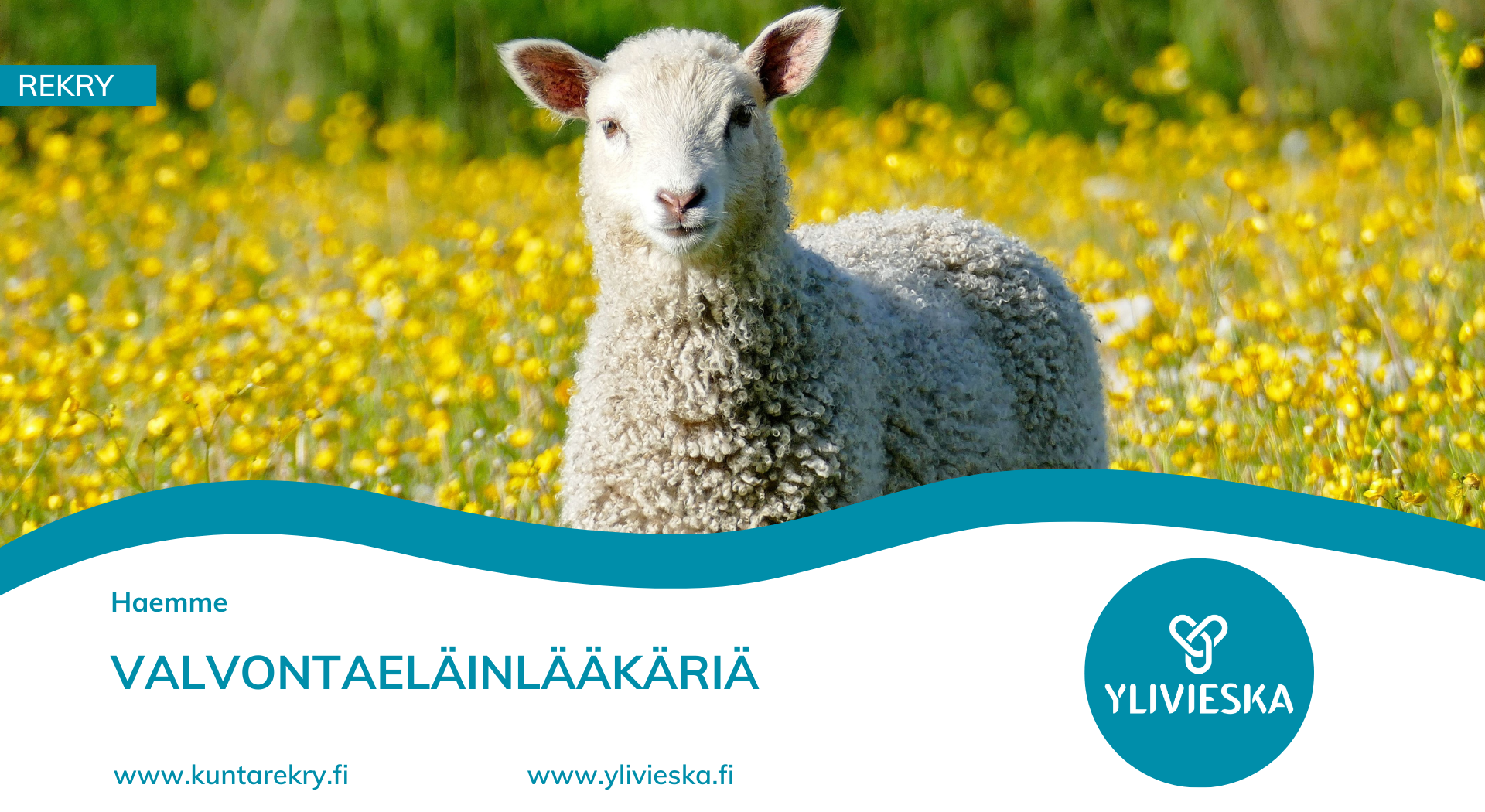 Etusivu - Ylivieskan kaupunki